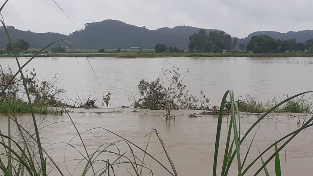Manipur: Over 200 Hectares Of Paddy Fields And Fish Farms Flooded In ...